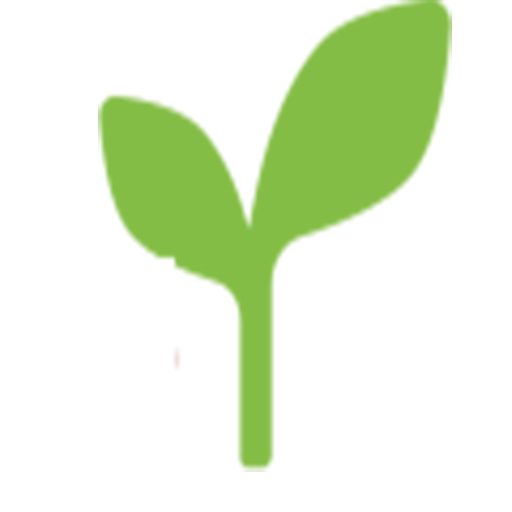 Over ons - Codegroen Educatie