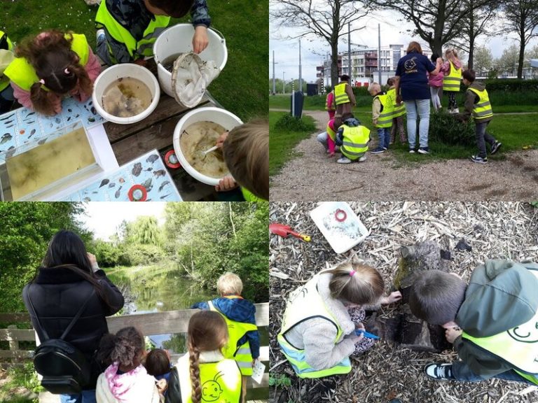 KomKids ontdekken in meivakantie allerlei dieren rond het NME-centrum - Codegroen Educatie
